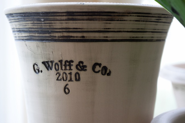 This Cobbled Path: Gardening – Pots